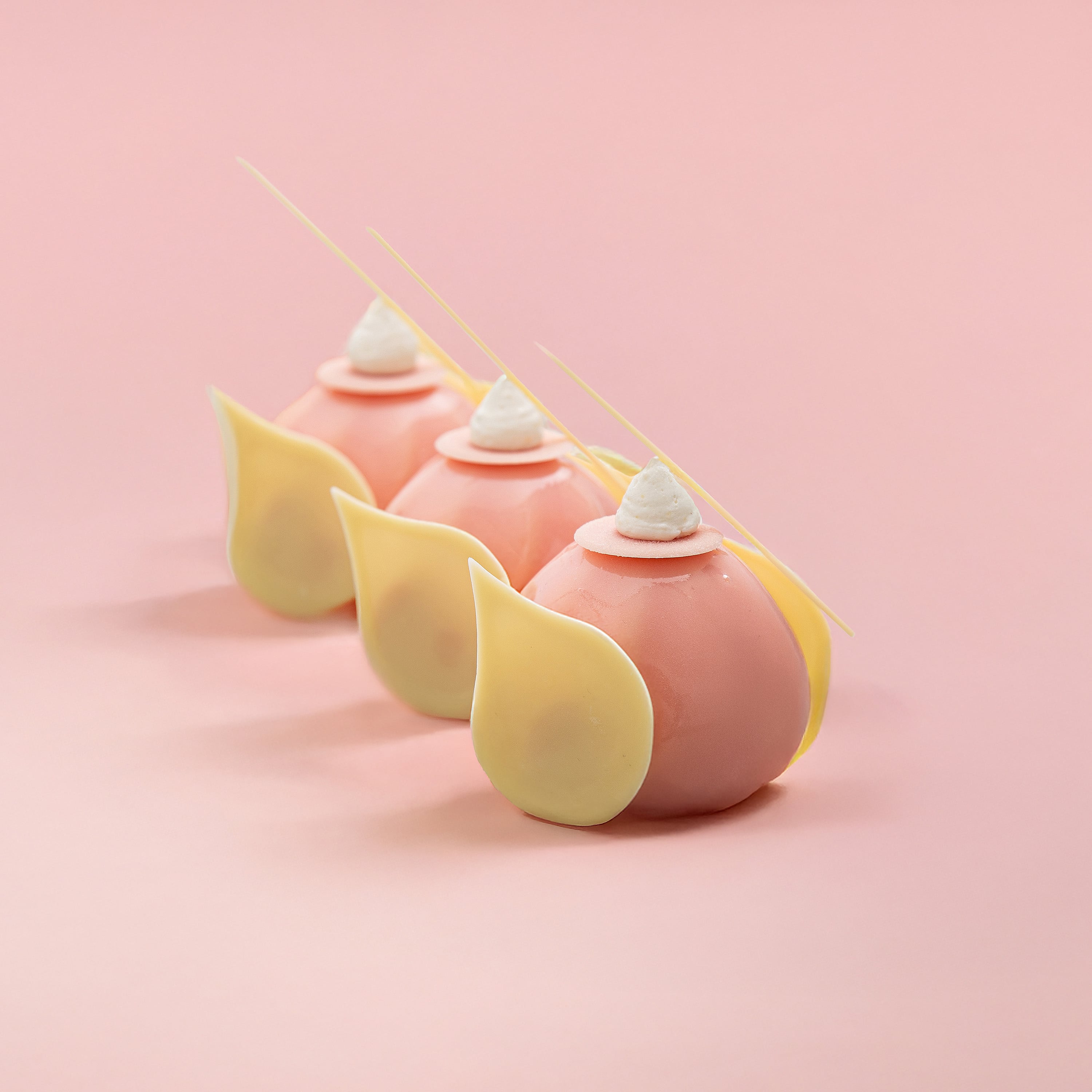 IRCA Group | DELICATE SWEETNESS